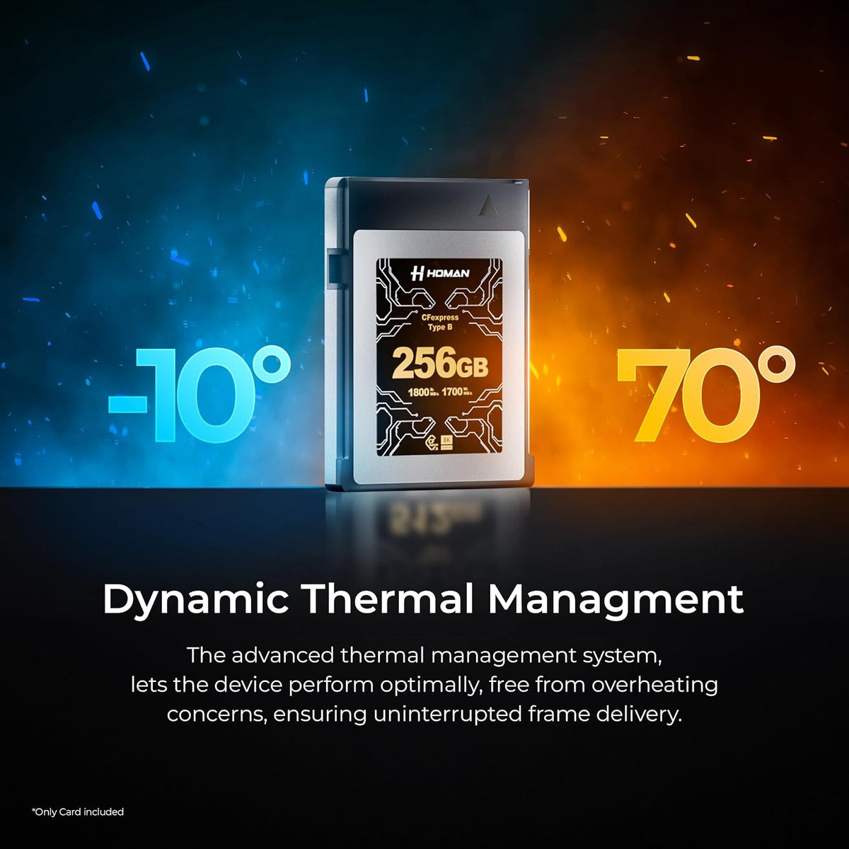 Buy Digitek Homan CFexpress Type B 256GB Memory Card Online