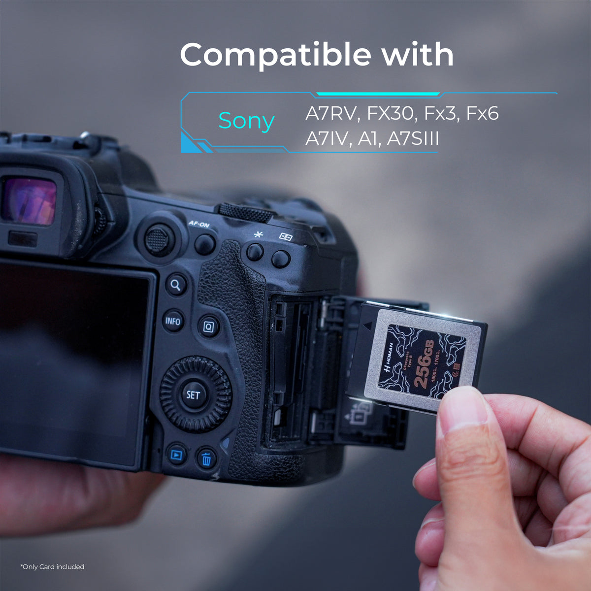 Buy Digitek Homan CFexpress Type A 256GB Memory Card with 10-Year ...