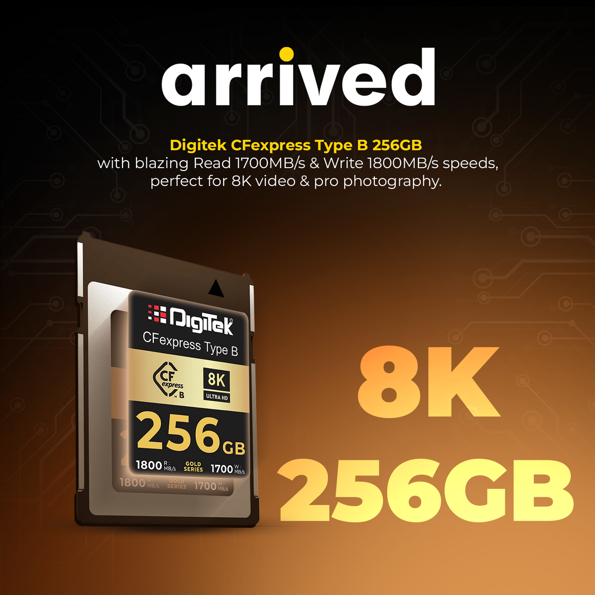 Digitek 8K Ultra HD 256GB CFexpress Type B Card Gold Series