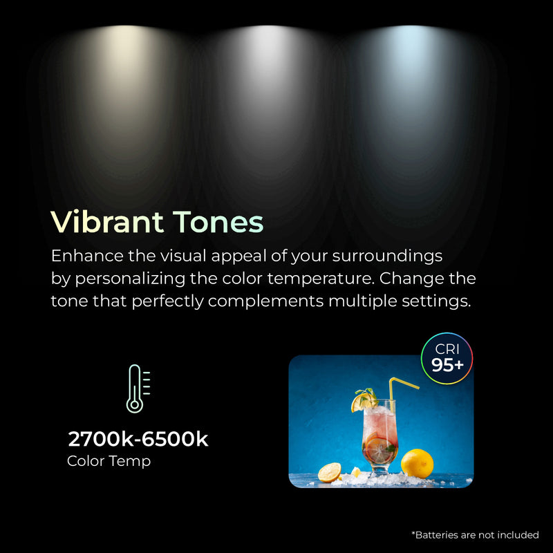 Buy Digitek DCL-100WBC DC Combo Bi-Color LED Light with 18cm Reflector ...