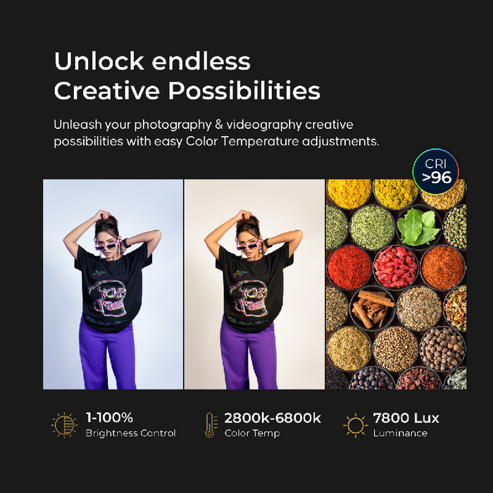 Buy Digitek Bi-Color Handheld Continuous LED Light DCL-60 WBC Online