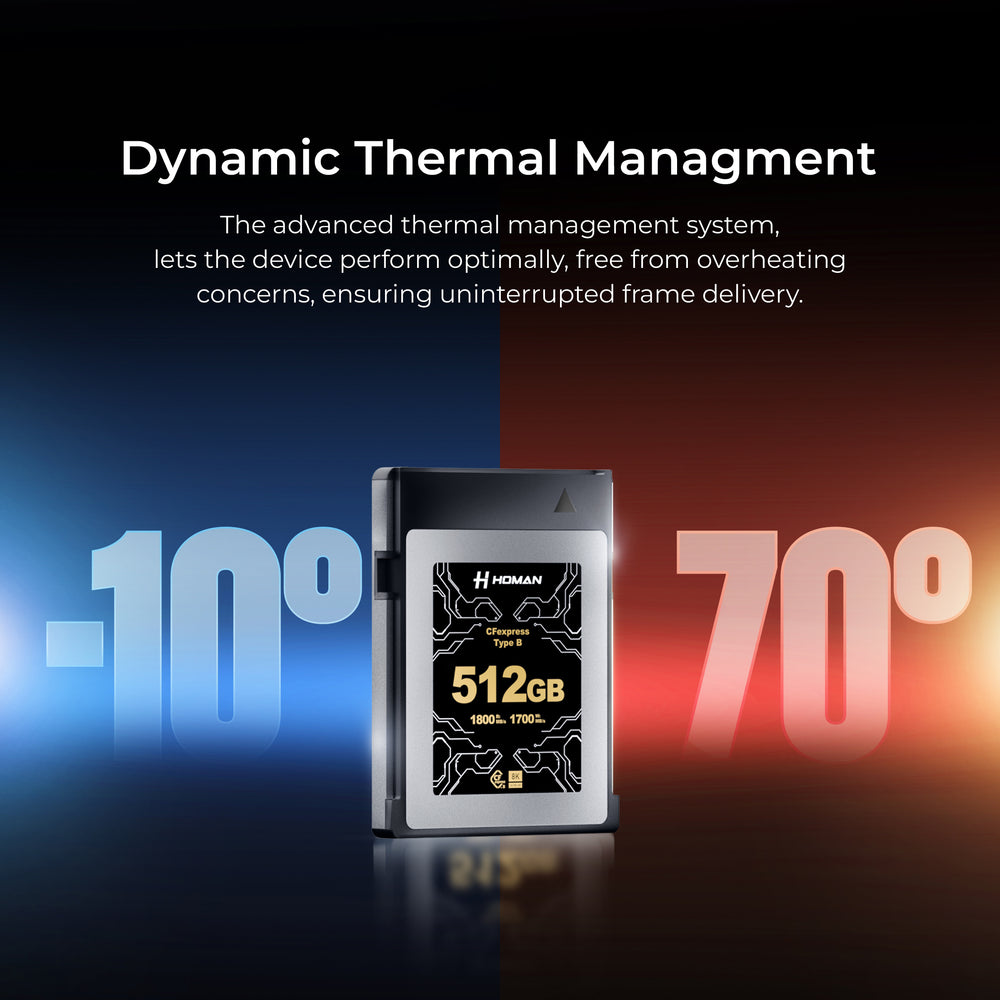 Buy Digitek Homan CFexpress Type B 512GB Memory Card with 10-Year ...