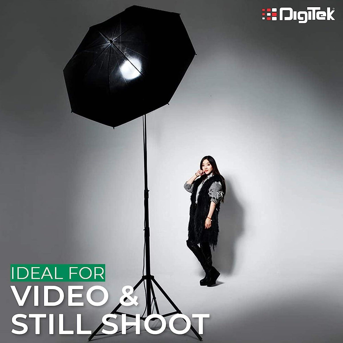 Buy Digitek Porta Light with 1000W Halogen Tube DPL003 Online
