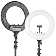 Buy Digitek LED Ring Light AC-DC Powered DPRL-19H