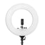 Buy Digitek 46cm Big LED Ring Light DRL018 with 2 Color Modes Online