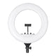 Buy Digitek LED Ring Light AC-DC Powered DPRL-19H